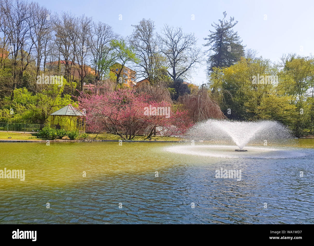Beautiful landscape with fountain on the lake in the park with flowers ...