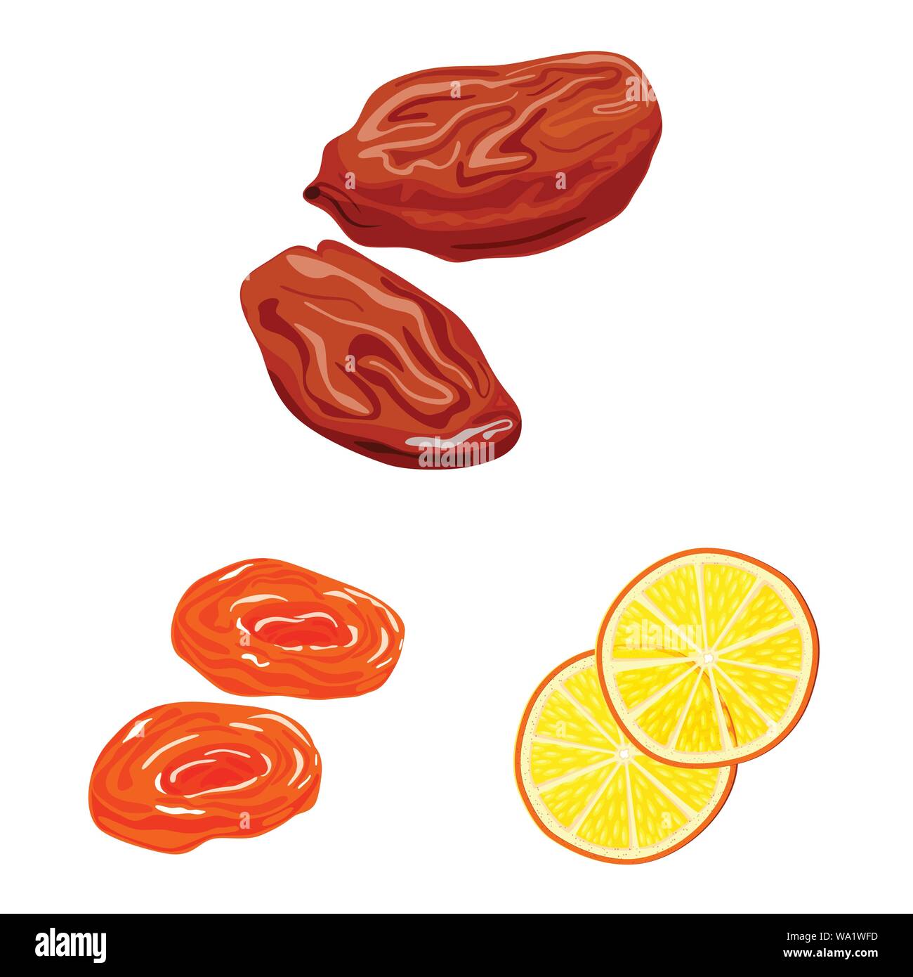 Vector illustration of fruit and dried sign. Collection of fruit and ...