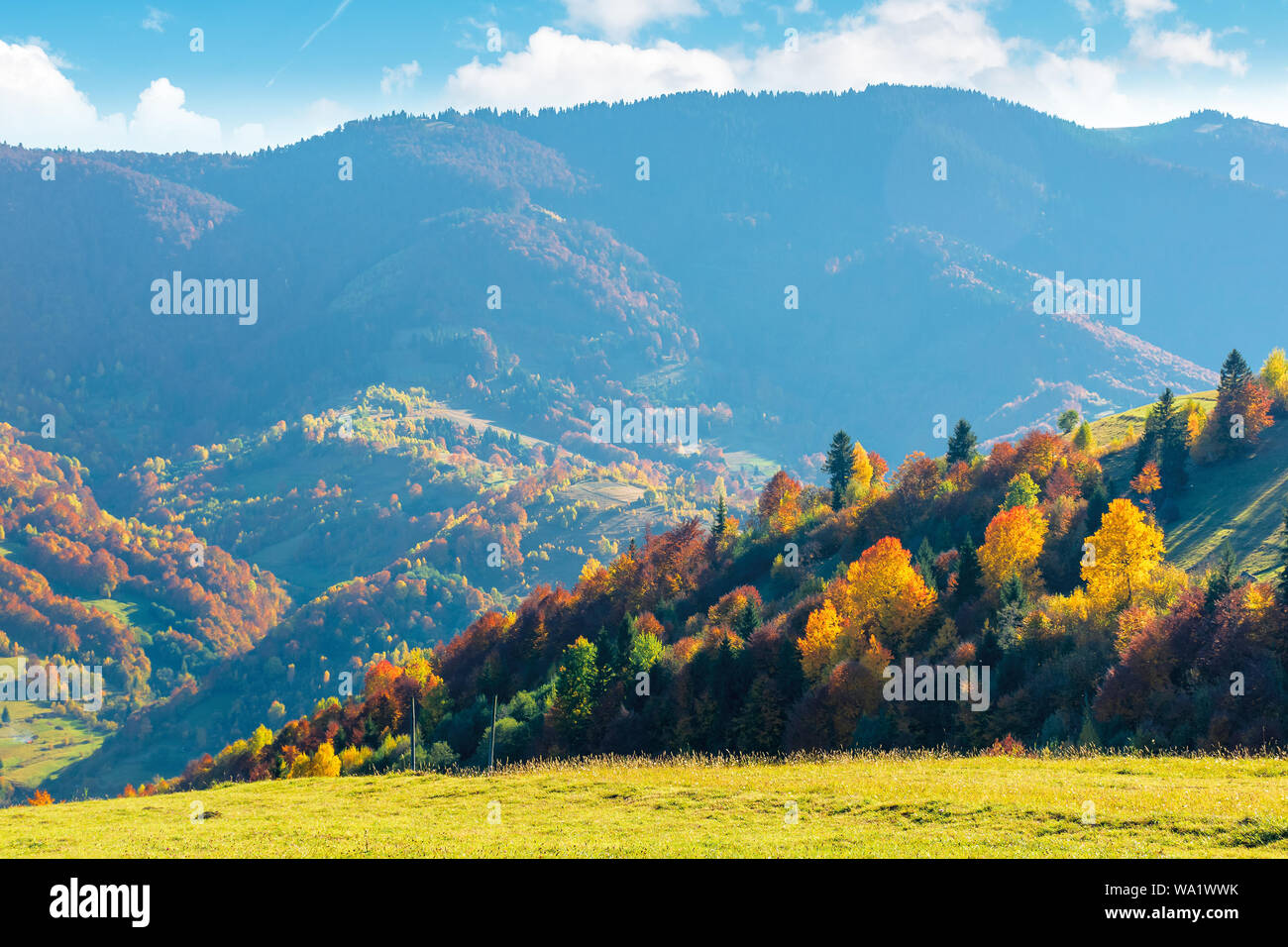 wonderful autumn afternoon in mountains. trees on the hill in colorful ...