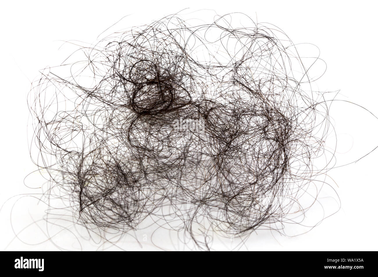Pile of women's hair loss problem, hairs fall on white background Stock ...