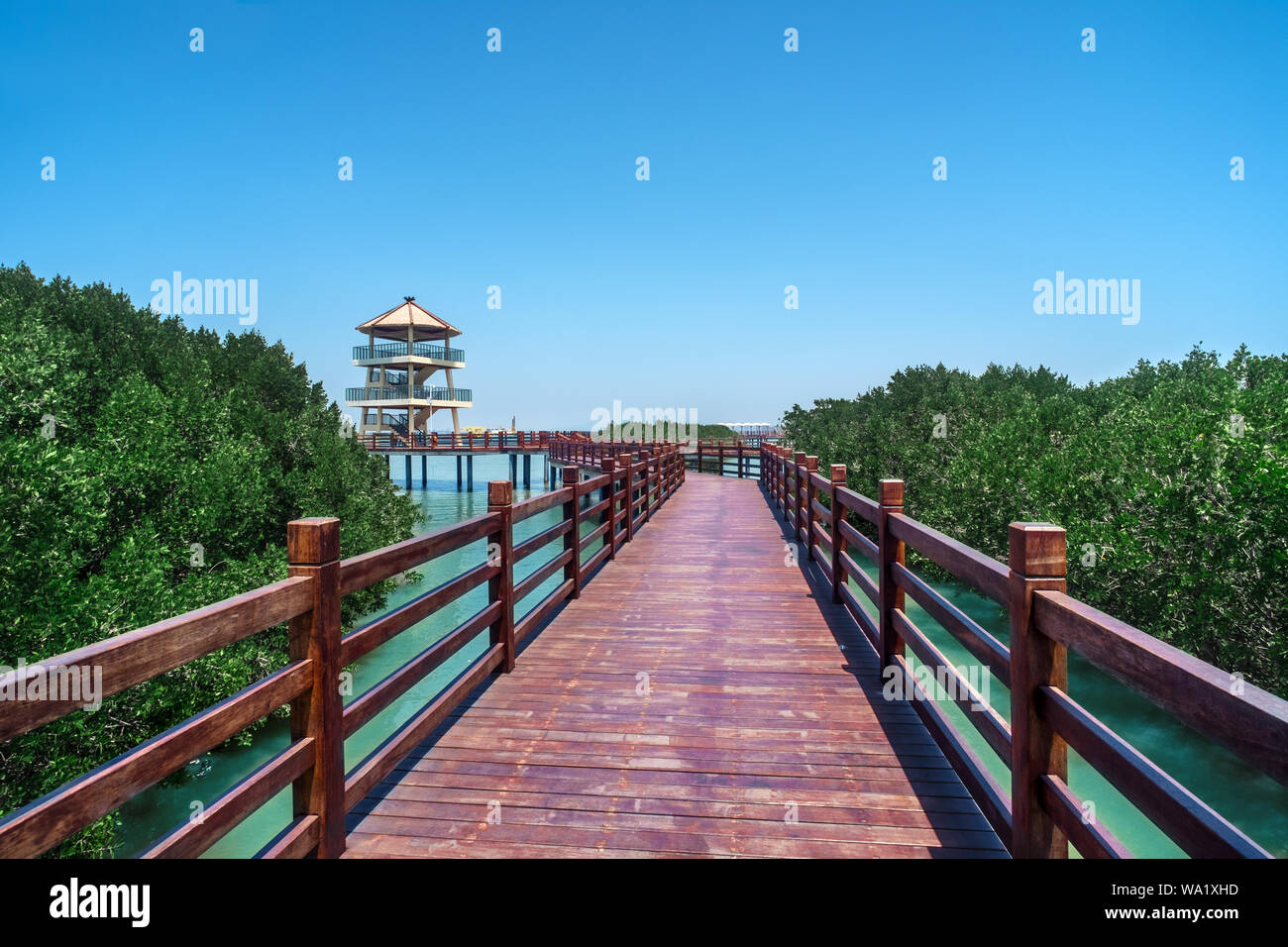 Shuidong hi-res stock photography and images - Alamy