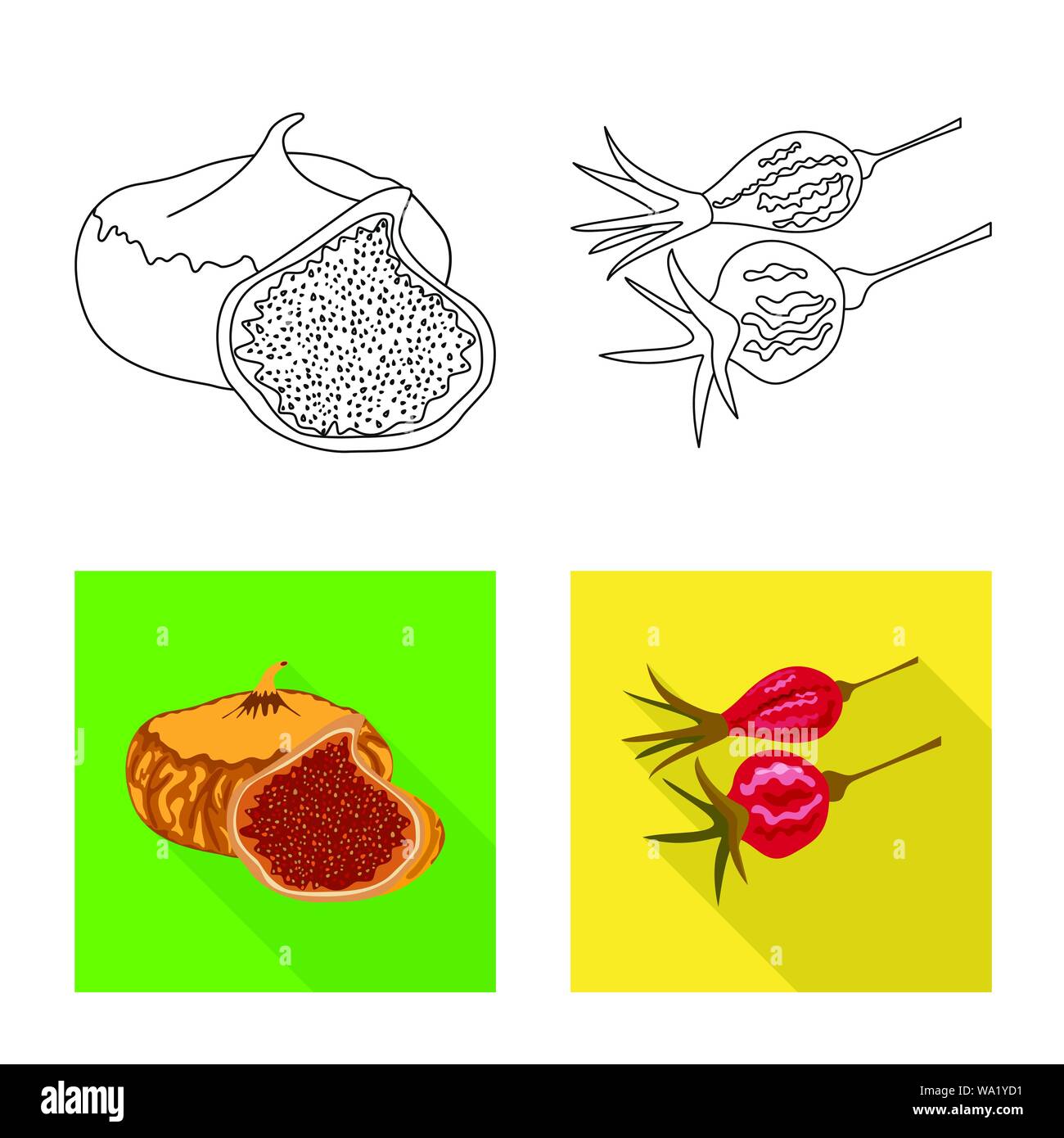 Vector illustration of food and raw symbol. Set of food and nature ...