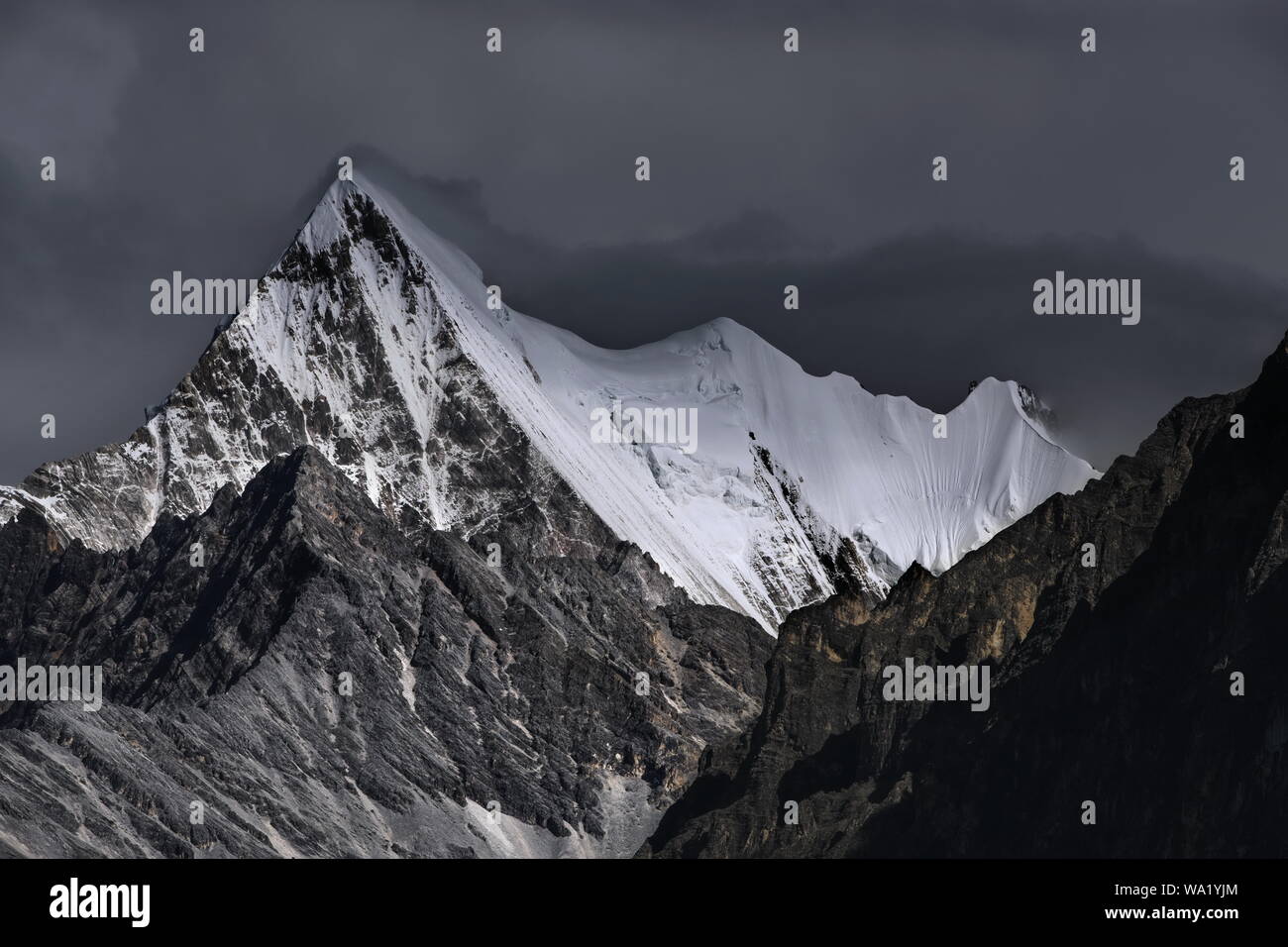 Ding yang hi-res stock photography and images - Alamy