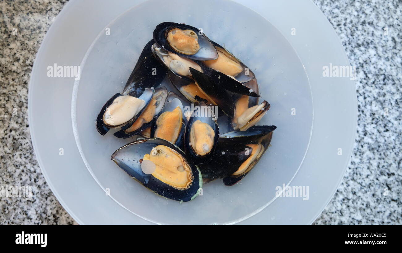 Preparing fresh clams in clean water. These ones come from the ...