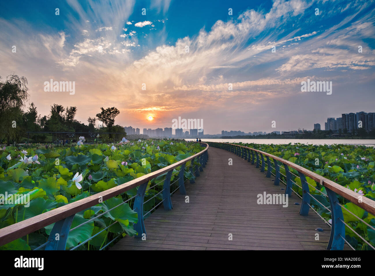 Sichuan suining hi-res stock photography and images - Alamy