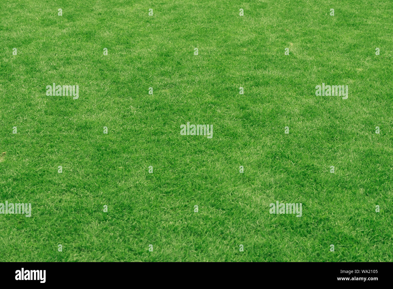 Lawn composition hi-res stock photography and images - Alamy