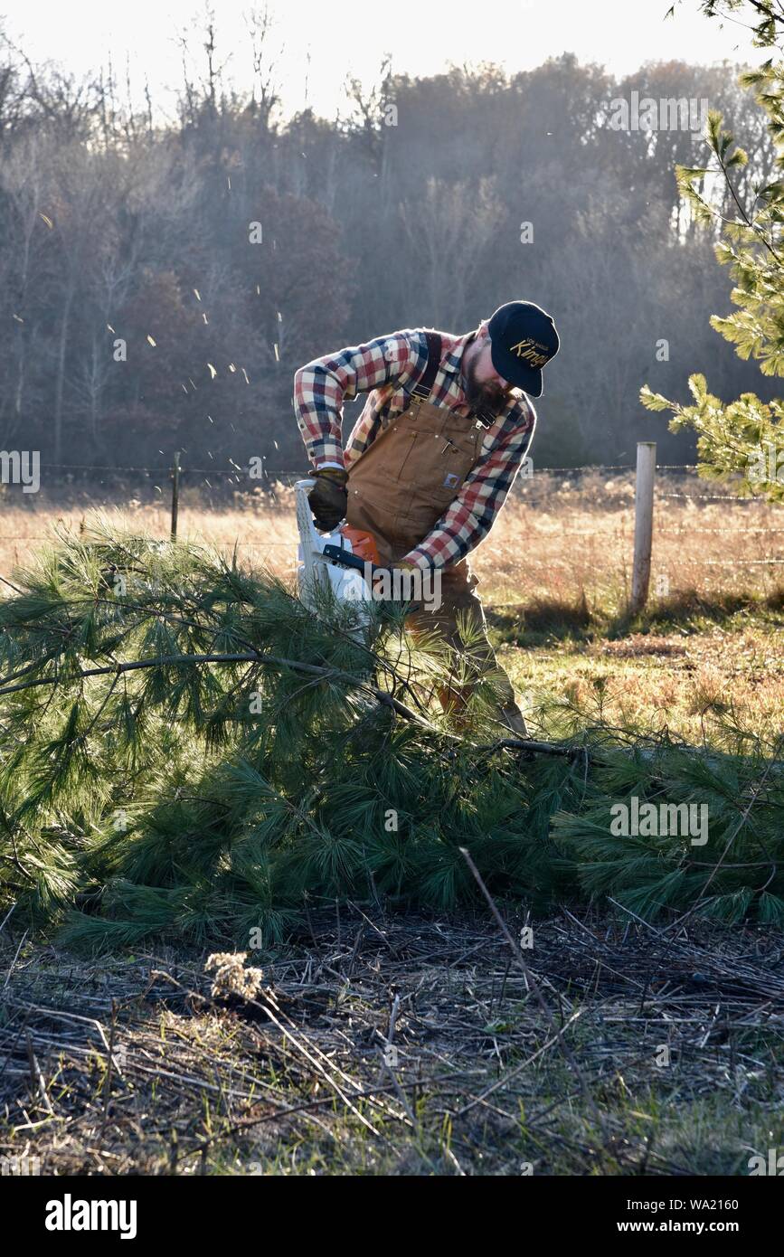Stihl trimming machine hi-res stock photography and images - Alamy