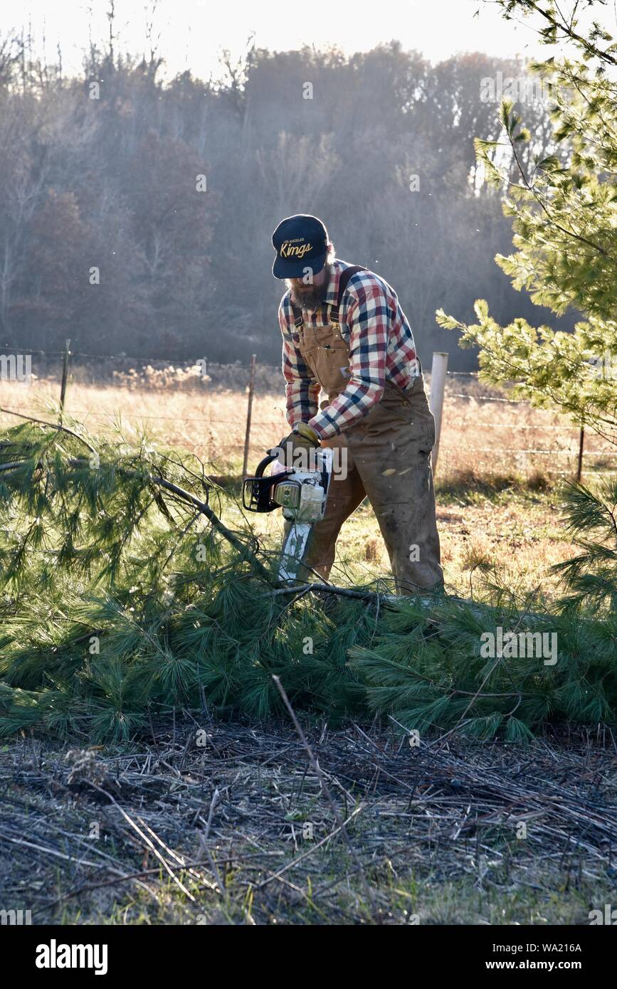 Stihl trimming machine hi-res stock photography and images - Alamy