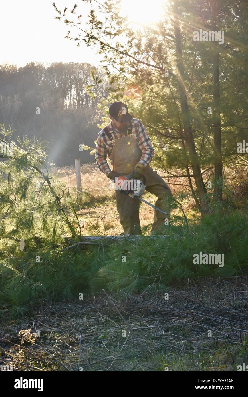 Stihl trimming machine hi-res stock photography and images - Alamy