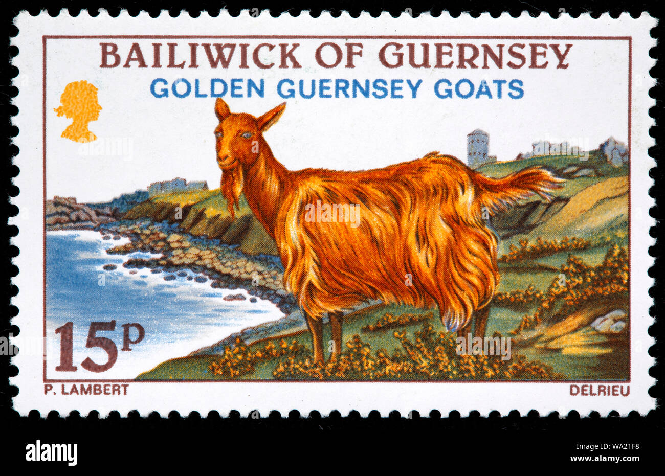 Golden guernsey goat hi-res stock photography and images - Alamy