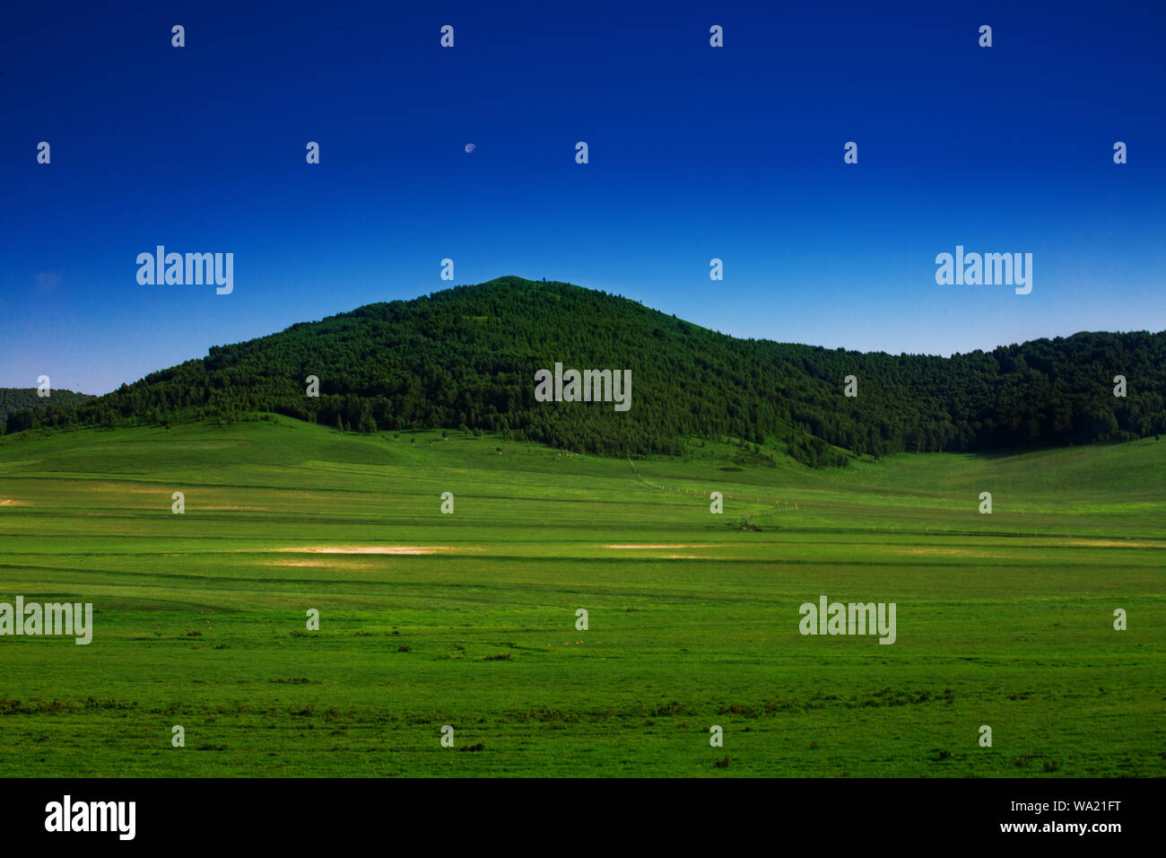 Inner Mongolia prairie Stock Photo - Alamy