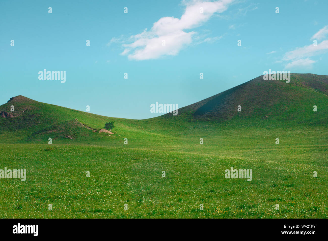 Inner Mongolia grassland Stock Photo - Alamy