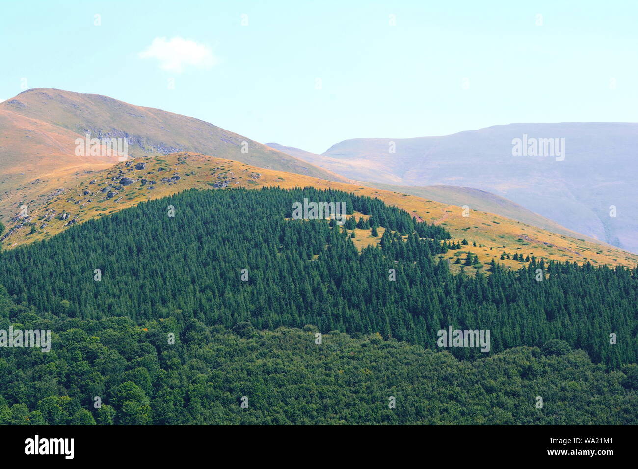 Midzor Mountain in Serbia, Europe. Beautiful Serbian landscape Stock ...
