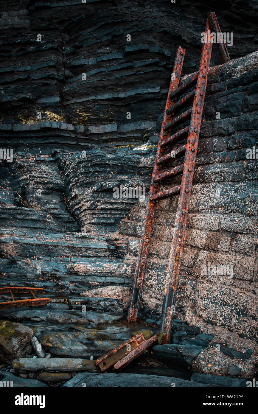 A rusted ladder rests on on the beach at the foot of Constitution Hill ...