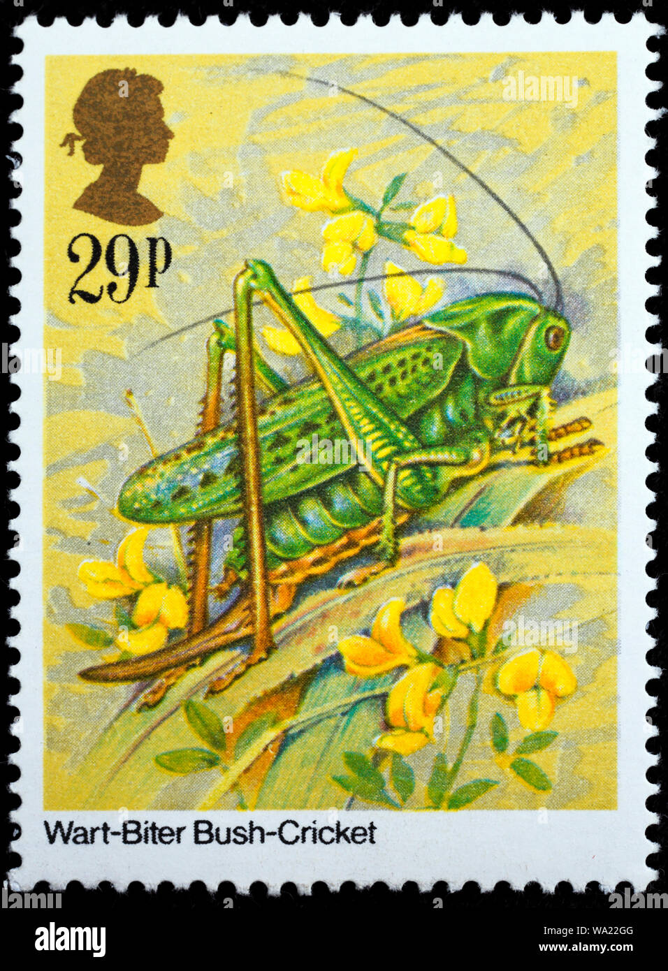 Cricket stamp hi-res stock photography and images - Alamy