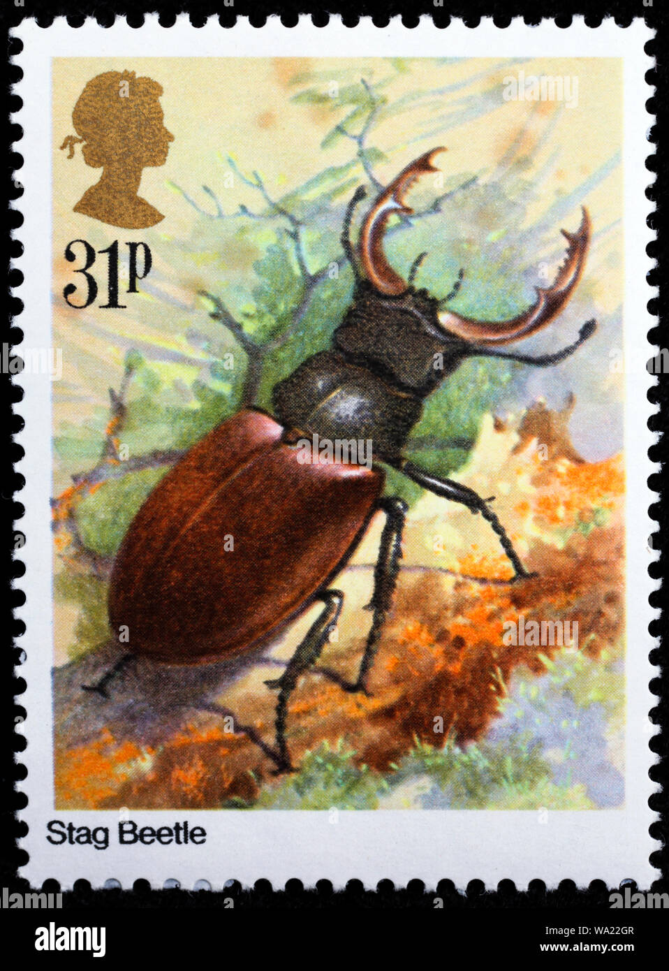 Lucanus cervus, Stag Beetle, insect, postage stamp, UK, 1985 Stock ...