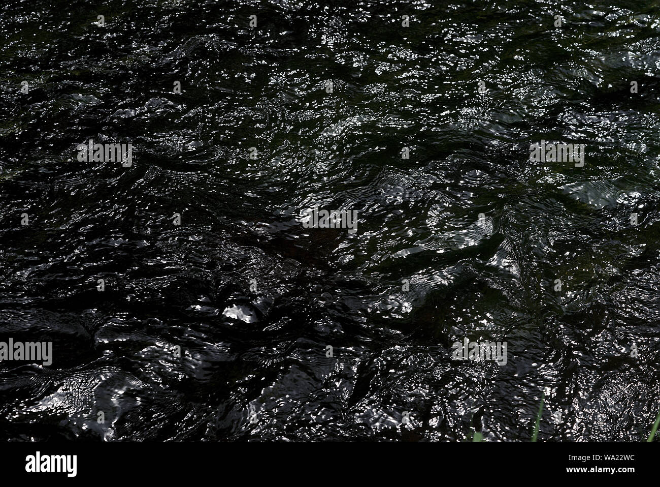 black water surface like oil, reflection effect Stock Photo - Alamy