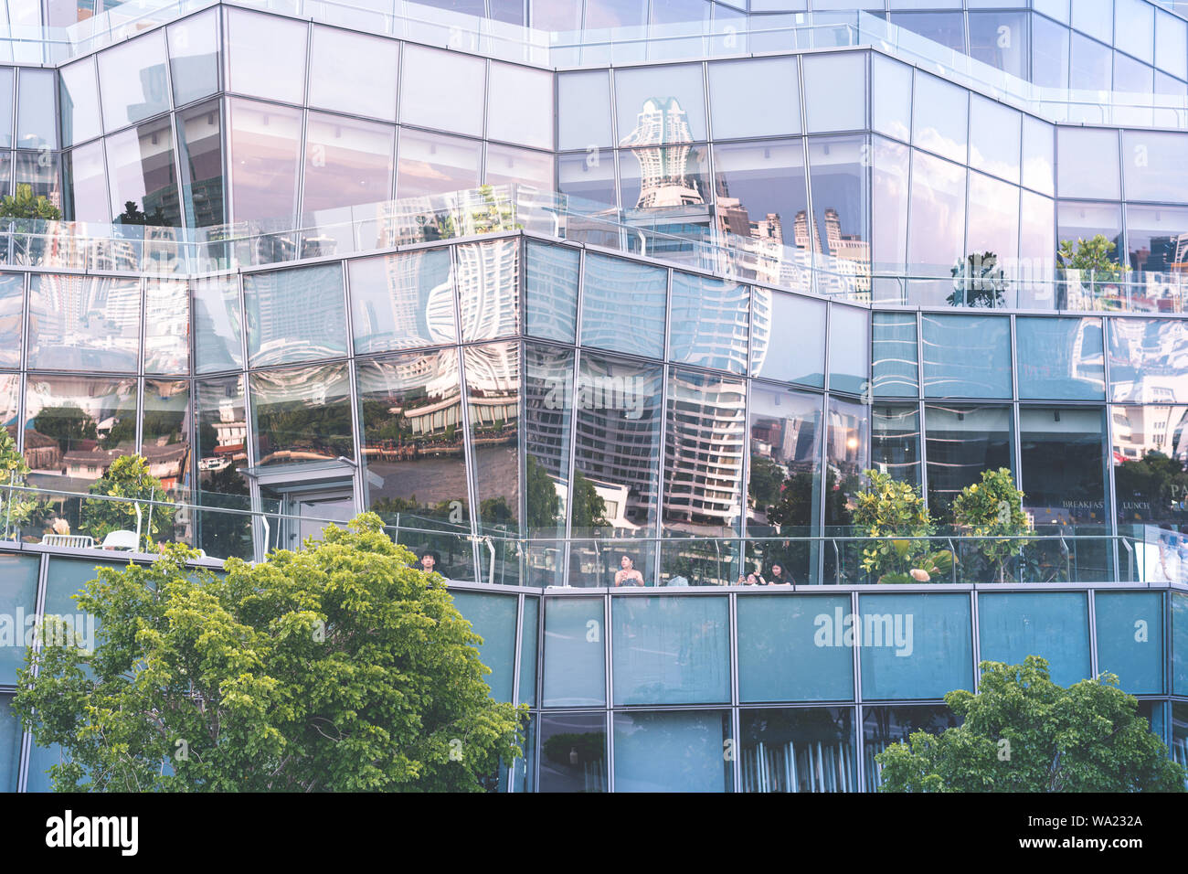 Microsoft Windows 8 People Icons