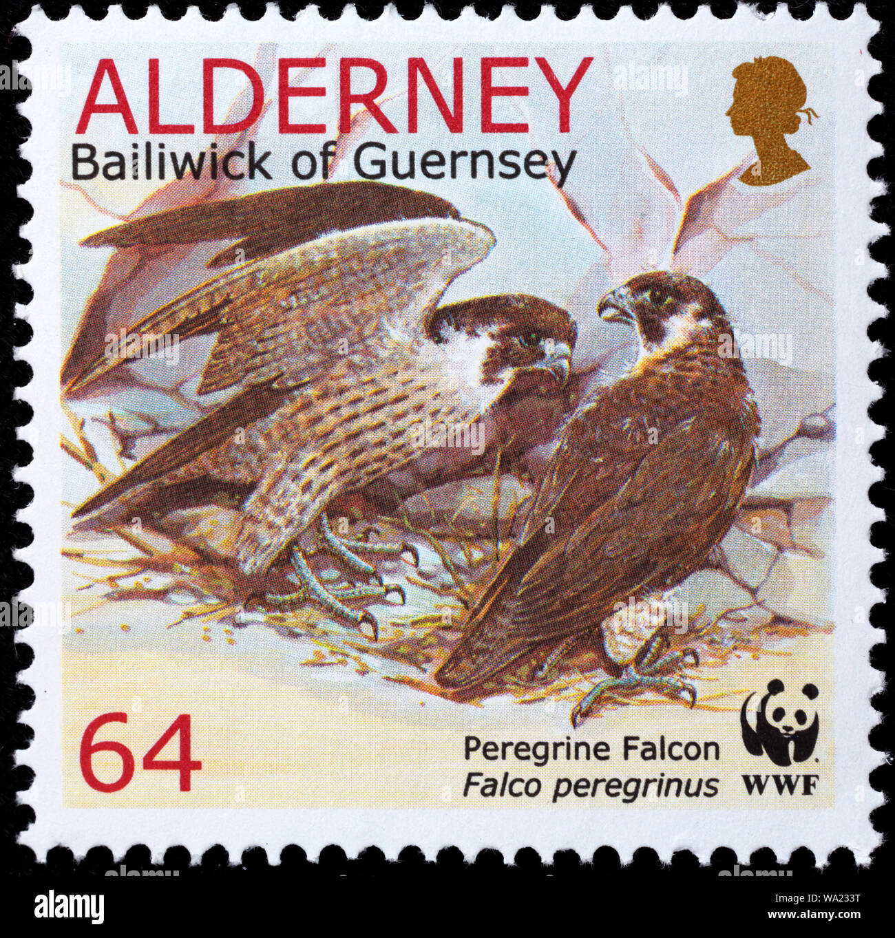 Falco peregrinus, Peregrine Falcon, postage stamp, UK, Bailiwick of ... Falco peregrinus, Peregrine Falcon, postage stamp, UK, Bailiwick of ...