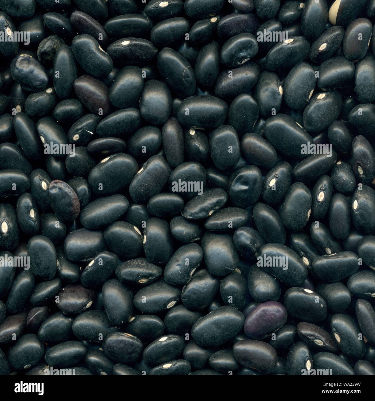 Real black beans from the bag Stock Photo - Alamy