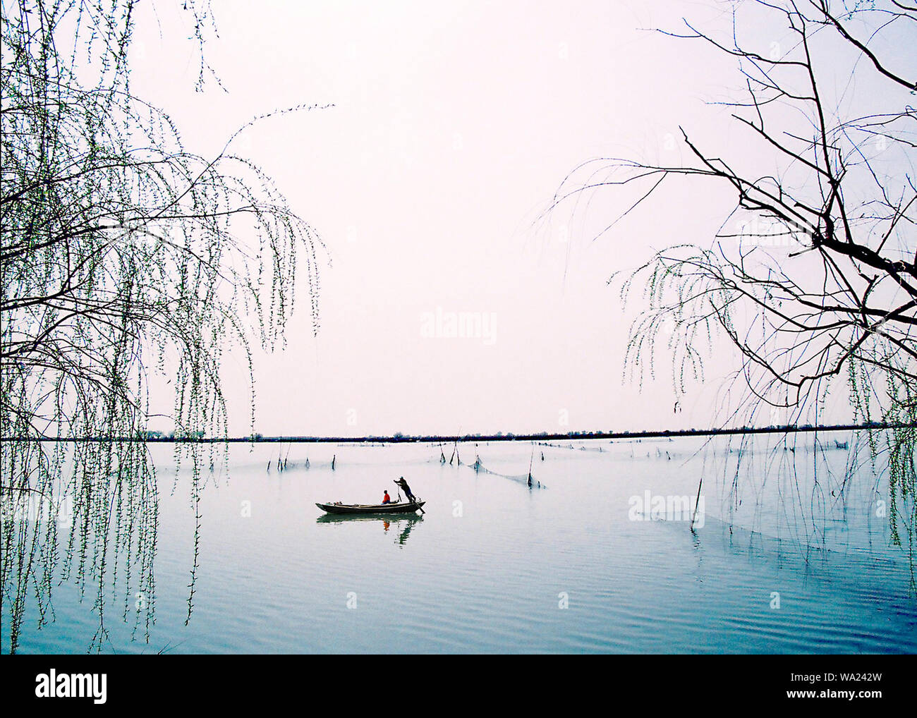 Early spring paddles Stock Photo - Alamy