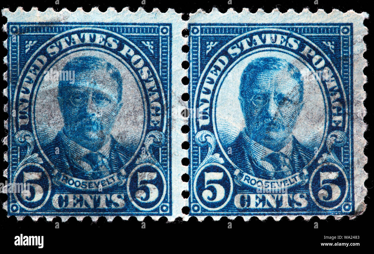 Theodore Roosevelt (1858-1919), President of USA, postage stamp, USA ...