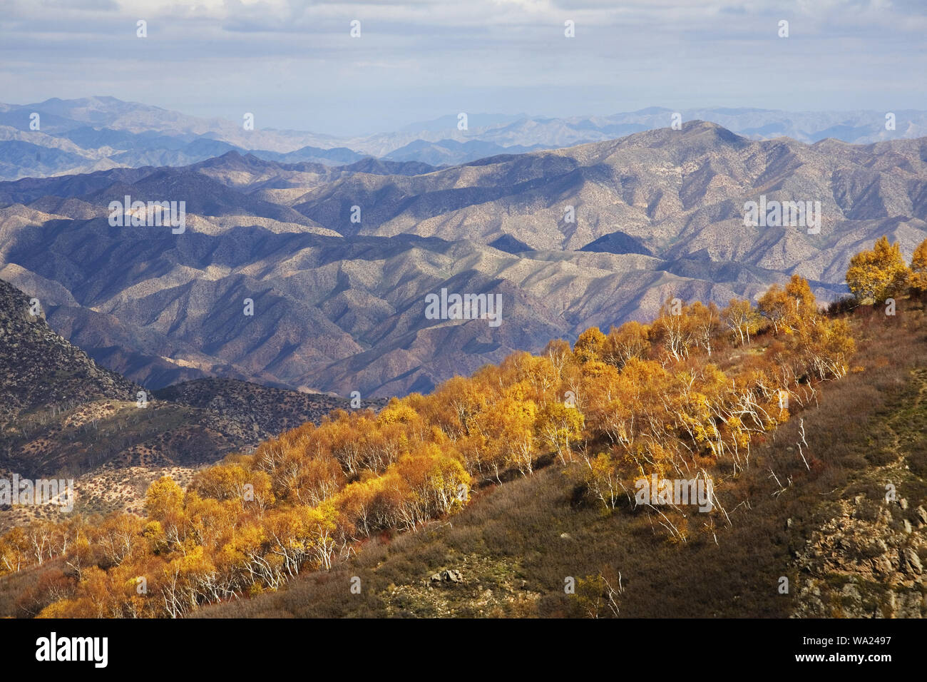 Ma shan hi-res stock photography and images - Alamy