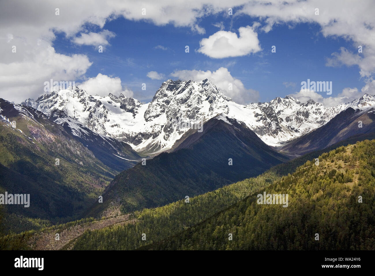 Baima hi-res stock photography and images - Alamy