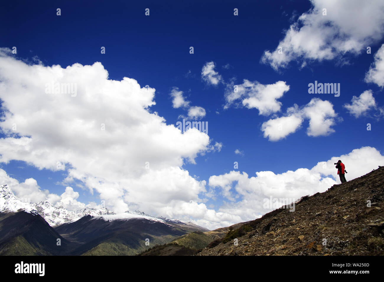 Baima hi-res stock photography and images - Alamy
