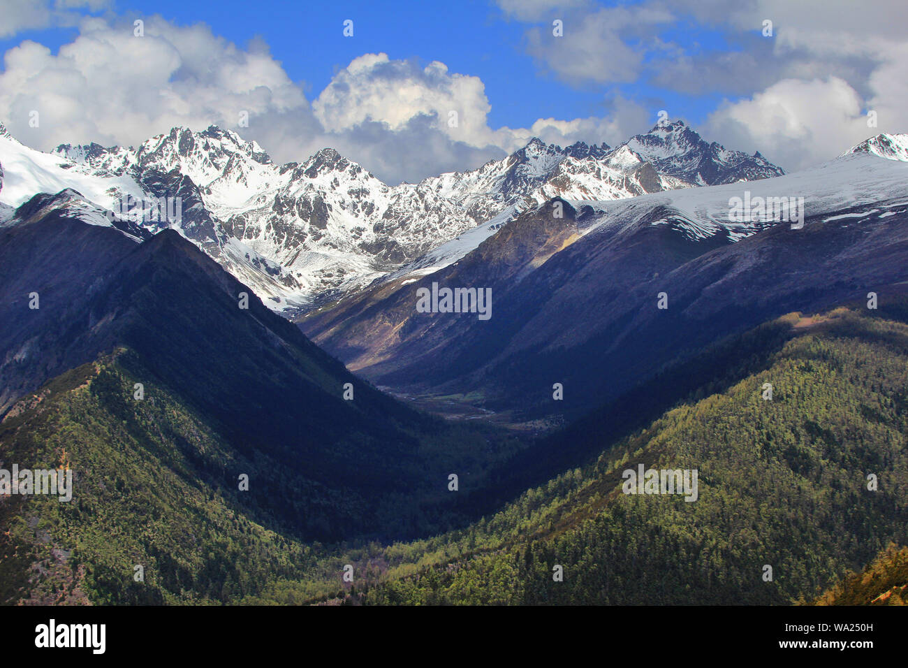 Baima hi-res stock photography and images - Alamy