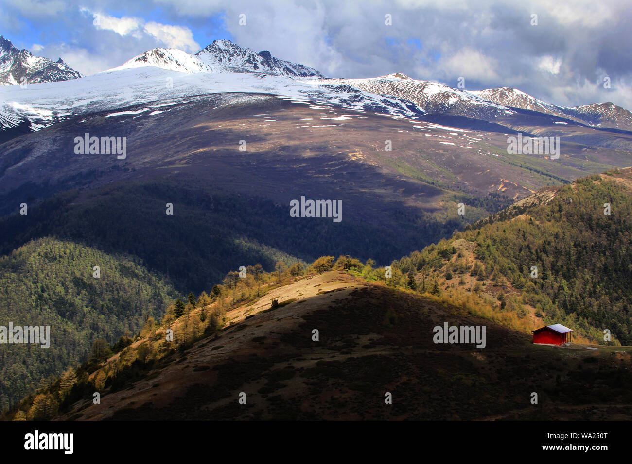 Baima hi-res stock photography and images - Alamy