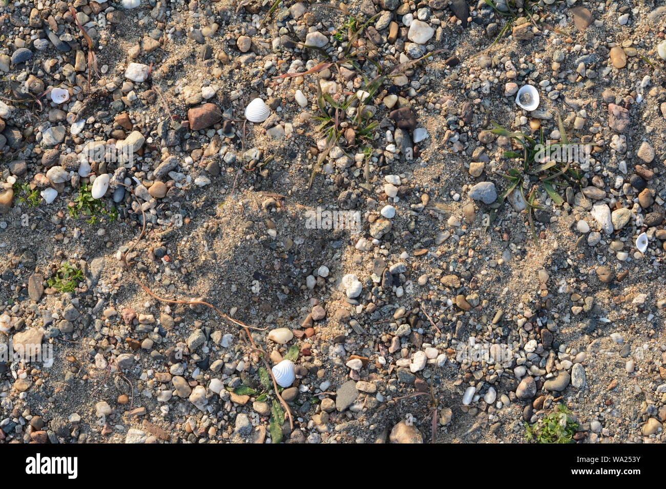 Pebbles in Sand Stock Photo - Alamy