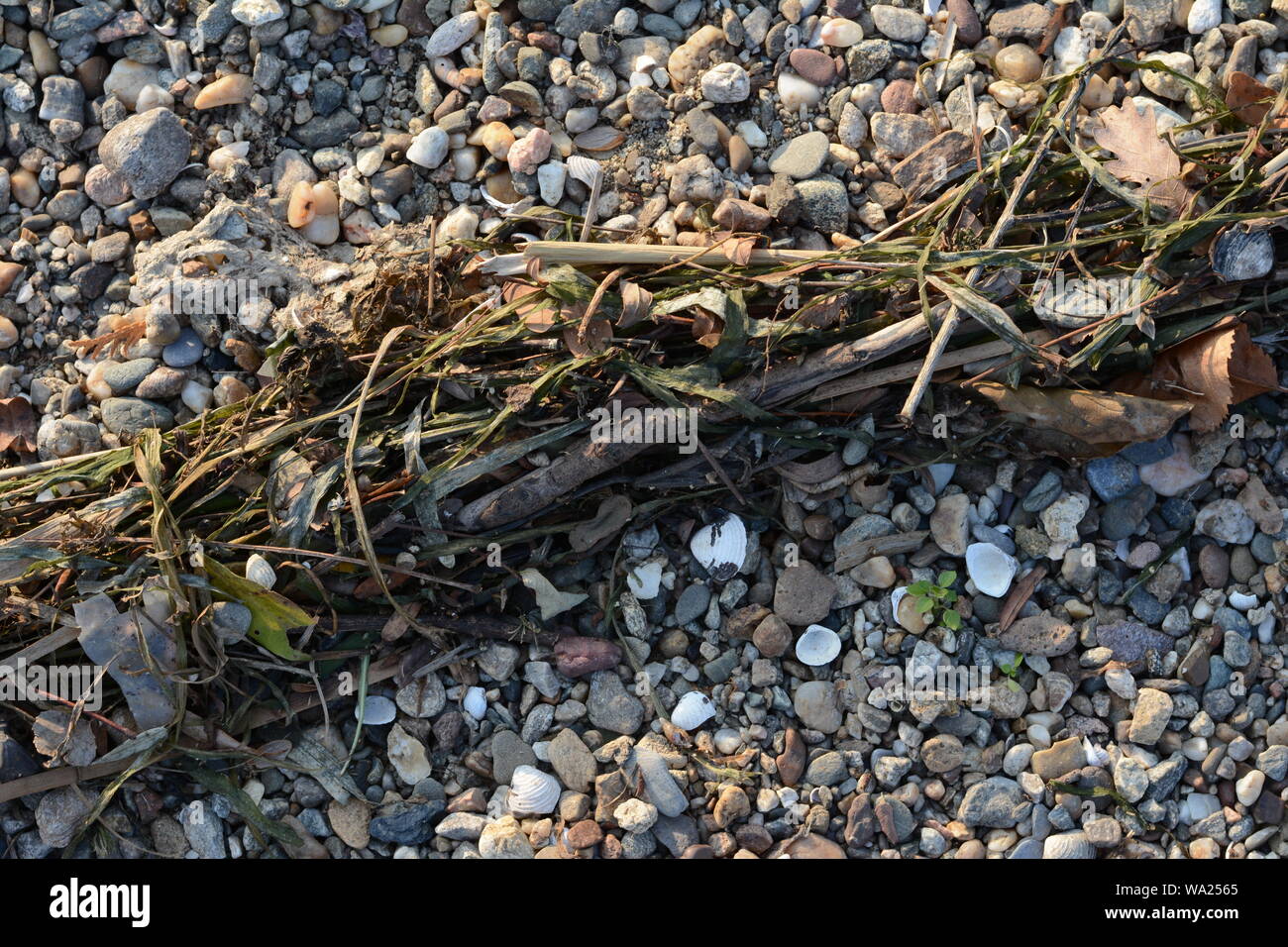 Pebbles in Sand Stock Photo - Alamy