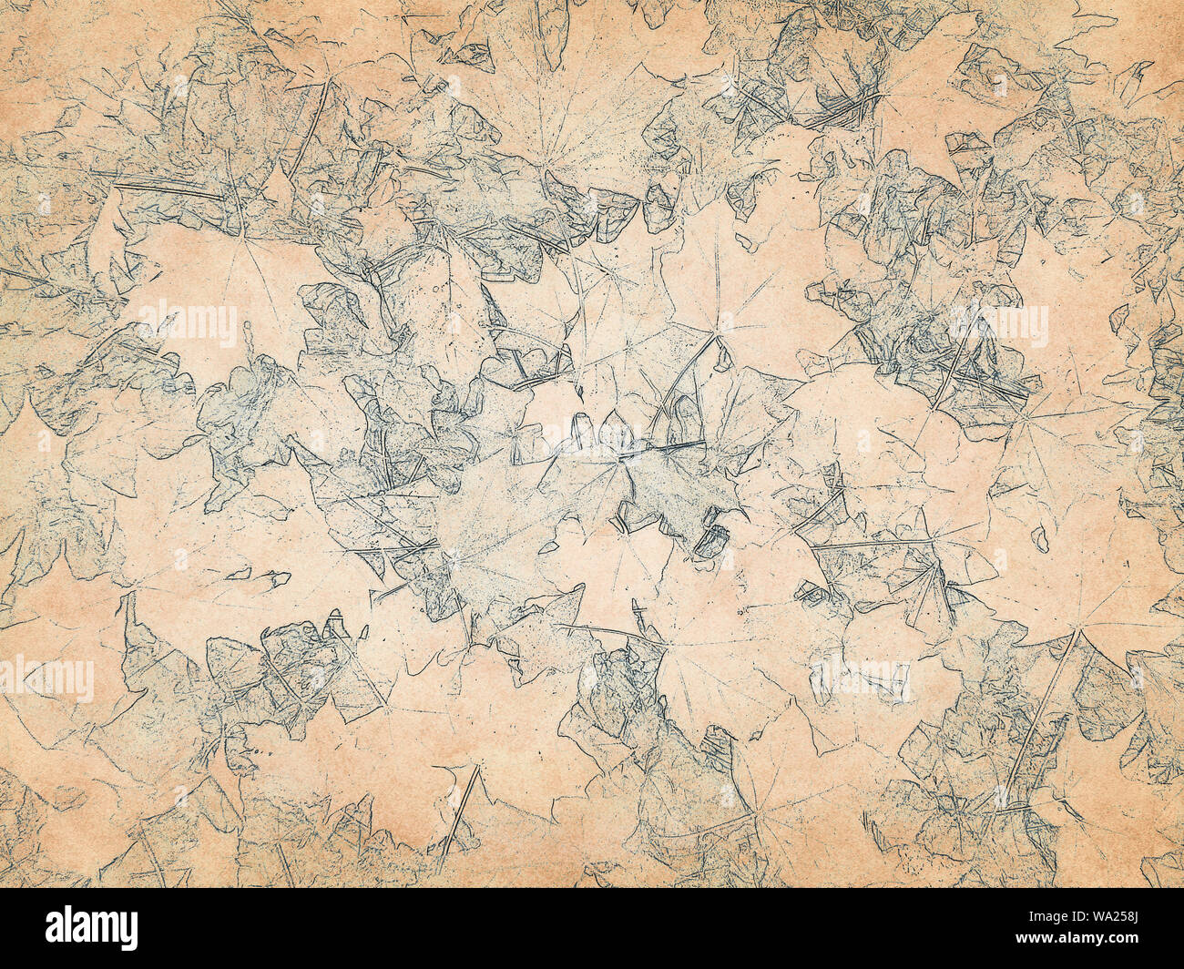 Drawing of autumn leaves on aged paper - creative background image ...