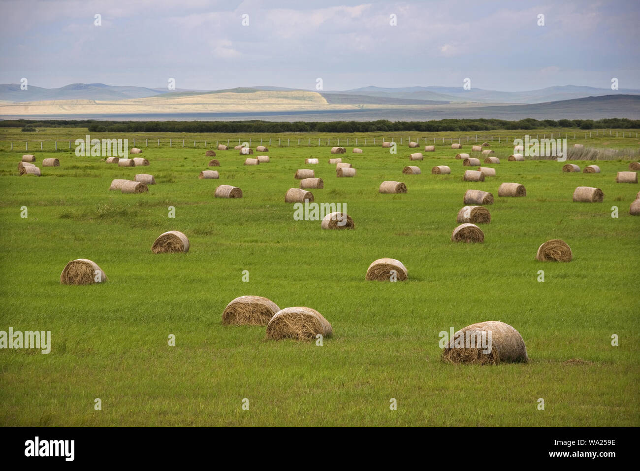 Grassland scenery hi-res stock photography and images - Alamy