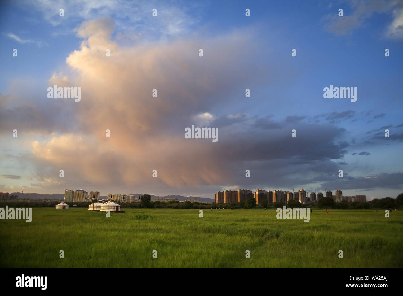 Grassland saihan tara in the city Stock Photo - Alamy
