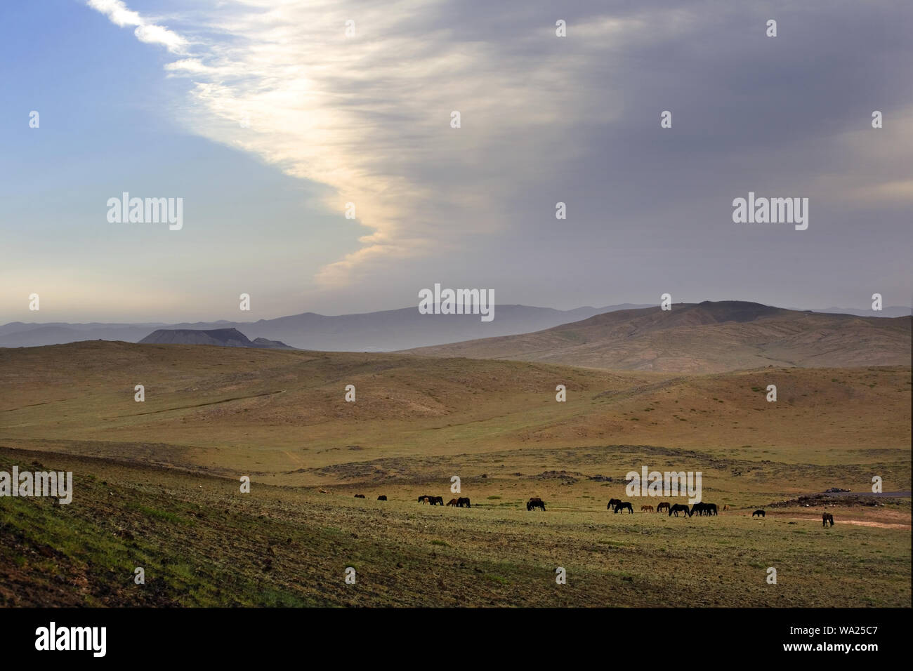 Hada china hi-res stock photography and images - Alamy