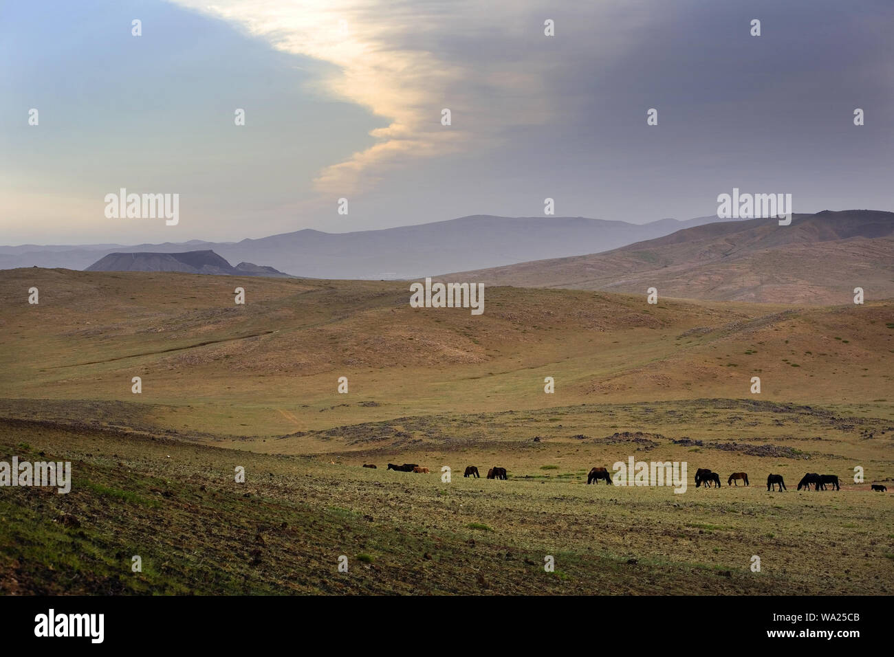 Hada china hi-res stock photography and images - Alamy