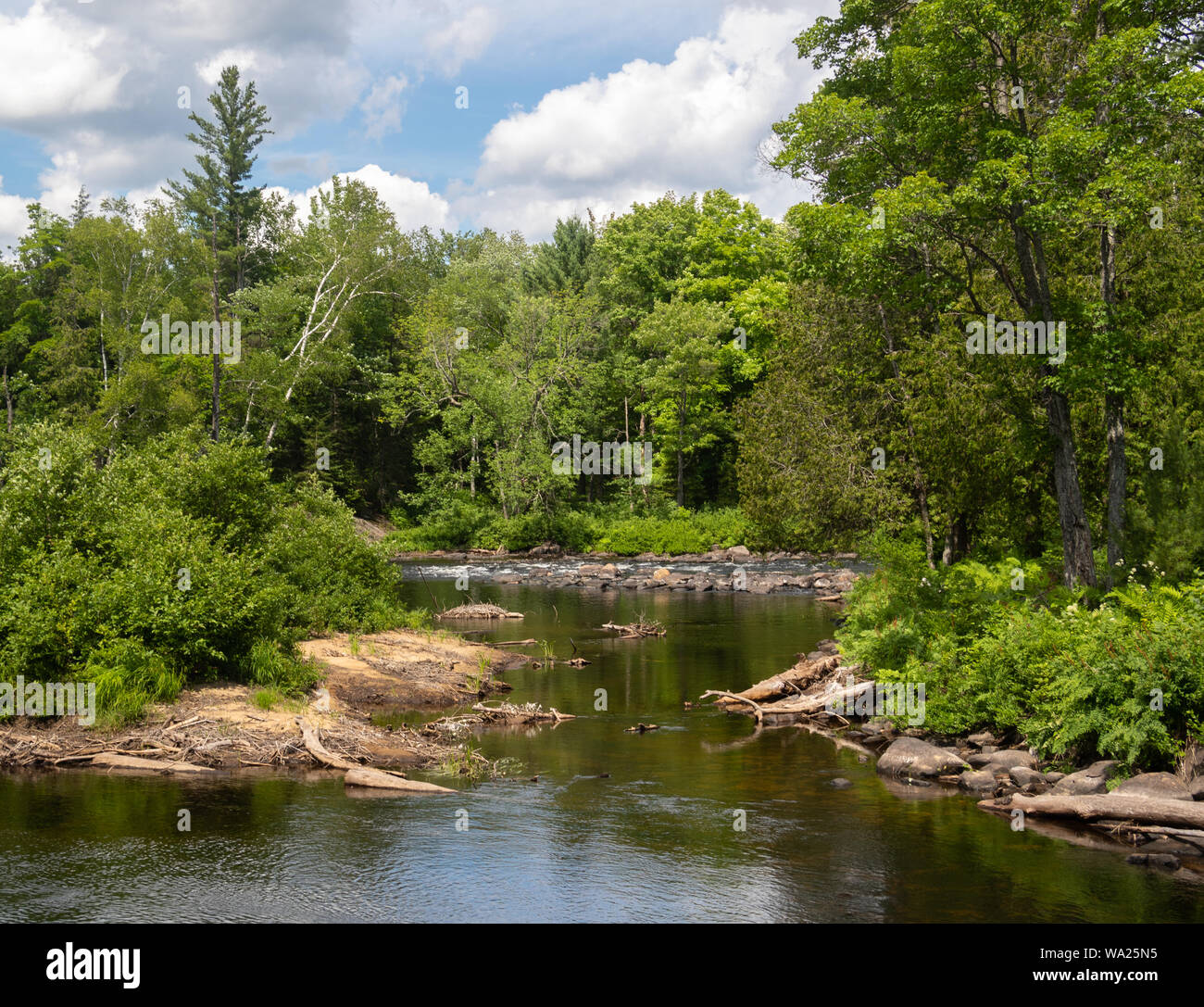 Summer blue sky over a Wide section of the Oxtongue River in Muskoka ...