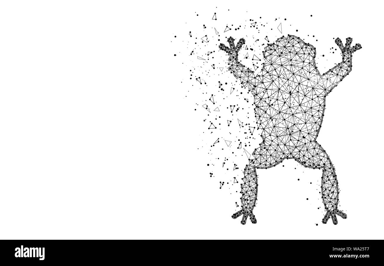 Frog low poly design, Amphibian animal abstract geometric image, Toad ...