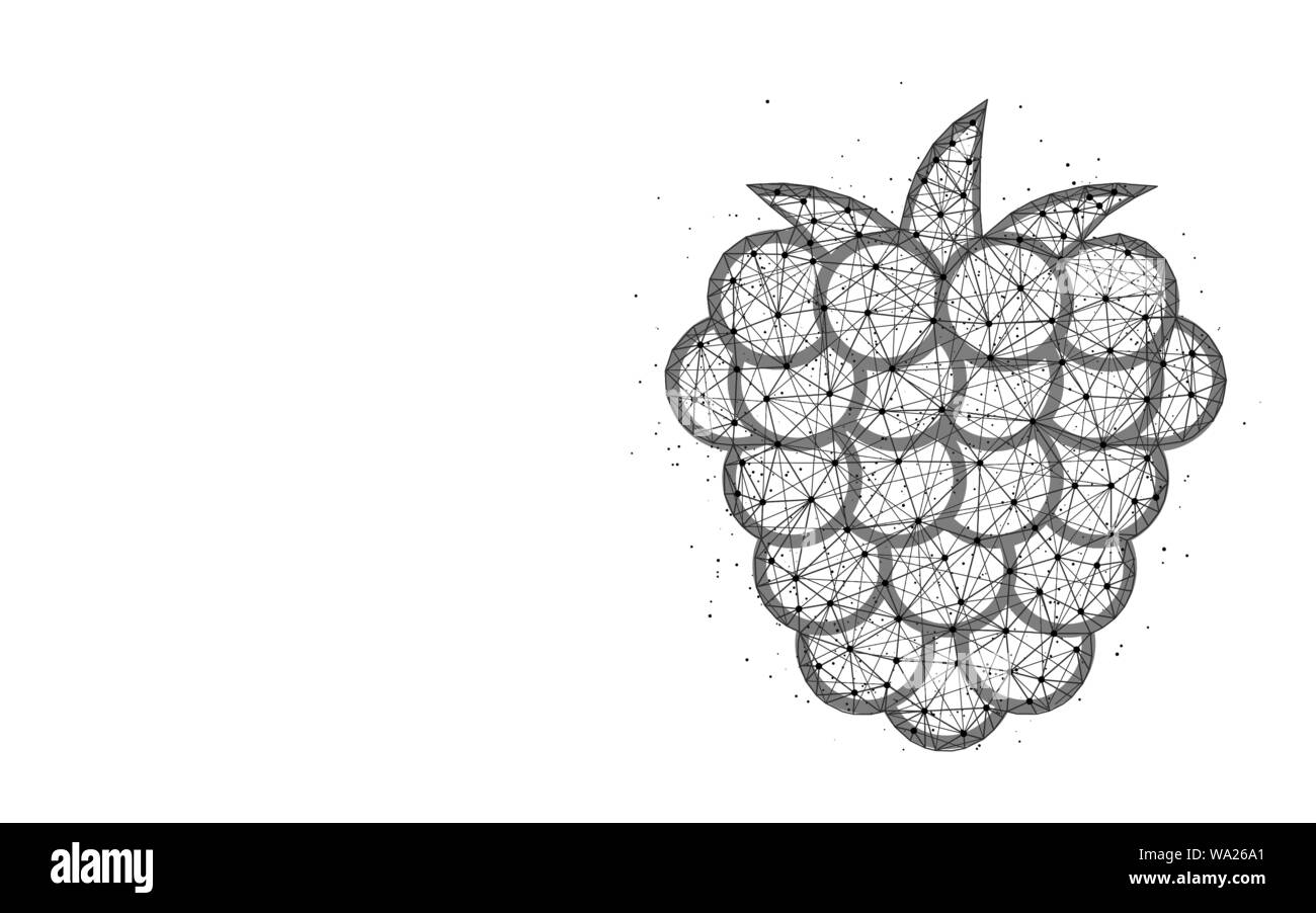 Raspberries low poly design, fruit abstract geometric image, berries ...