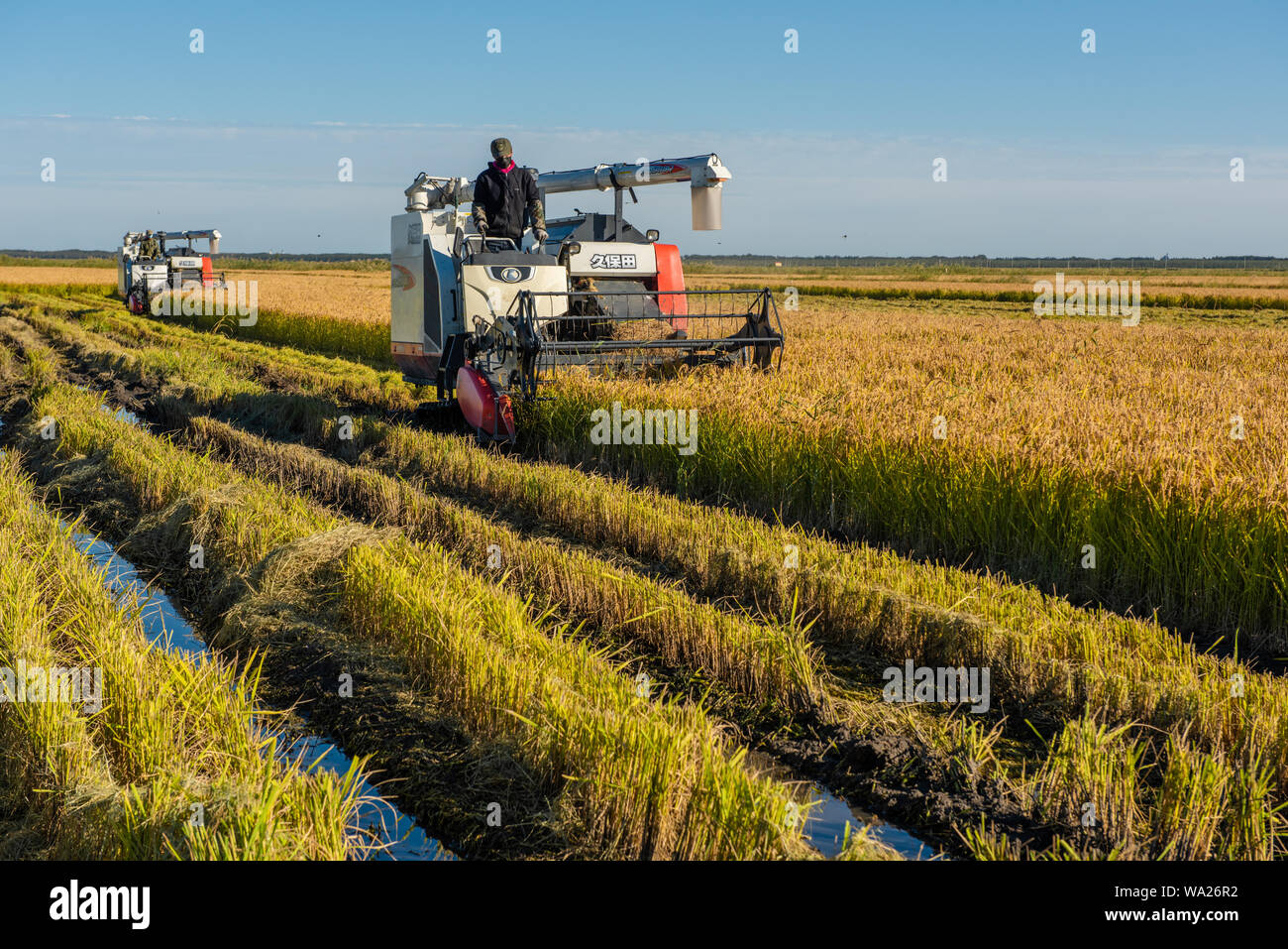 Rice harvester hi-res stock photography and images - Alamy