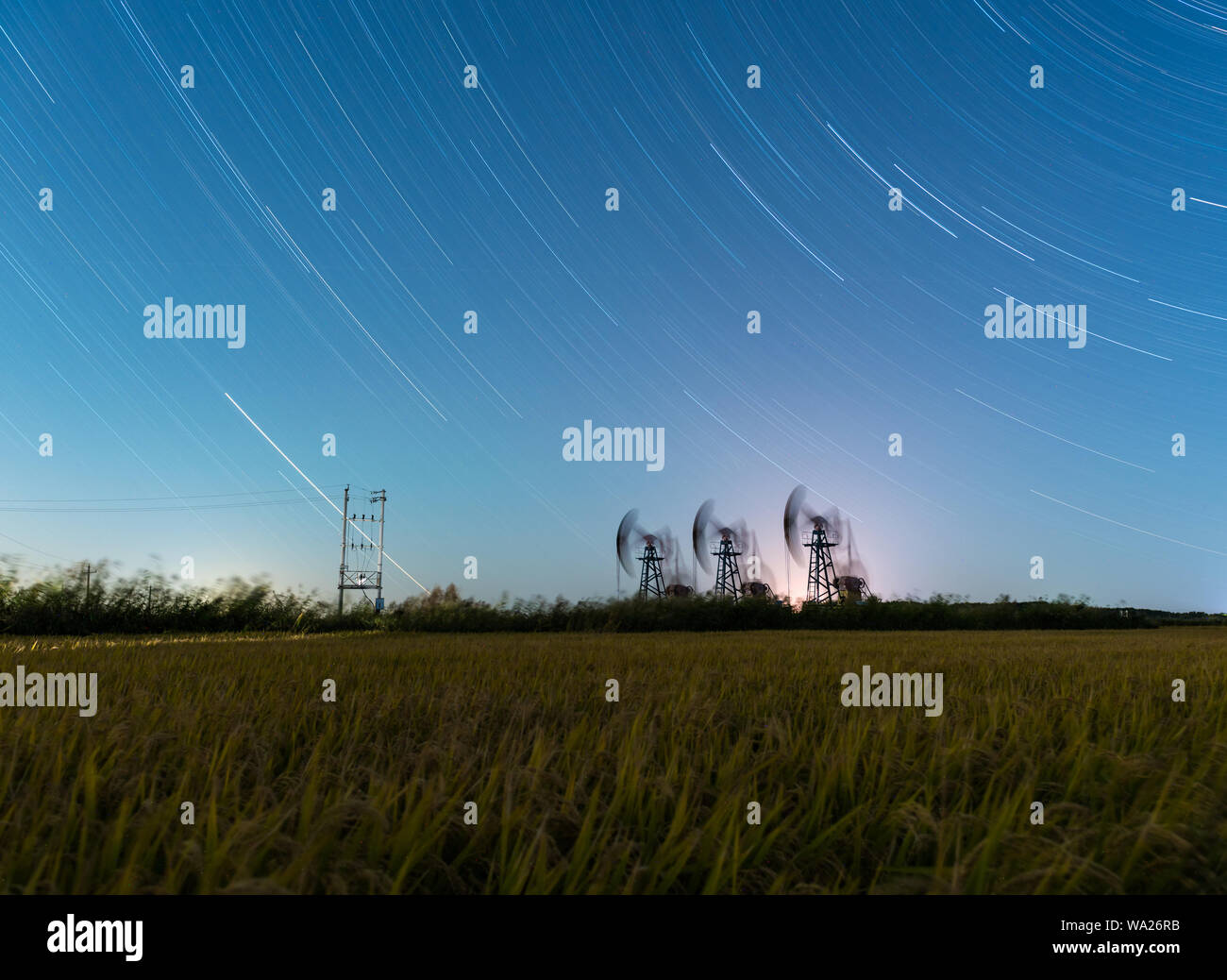 White christmas tree long hi-res stock photography and images - Alamy