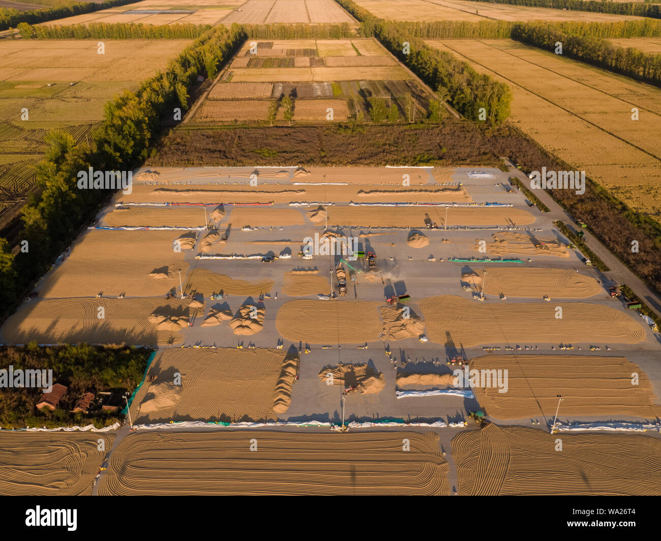 Rice loading hi-res stock photography and images - Alamy