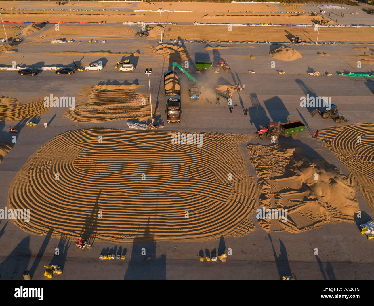 Rice drying hi-res stock photography and images - Alamy