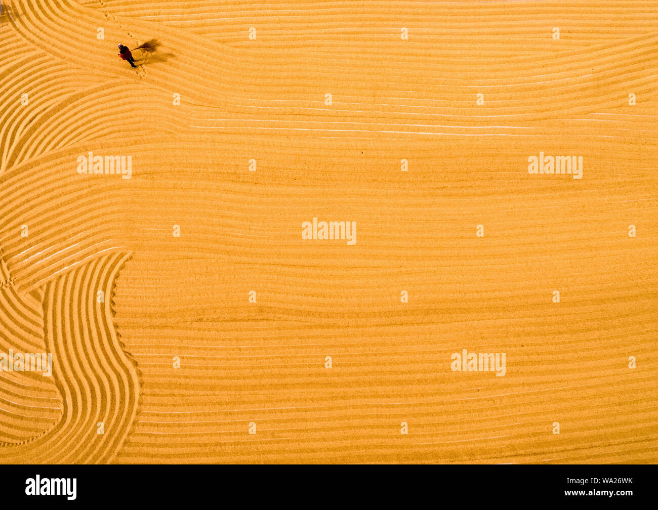 Drying of rice Stock Photo - Alamy