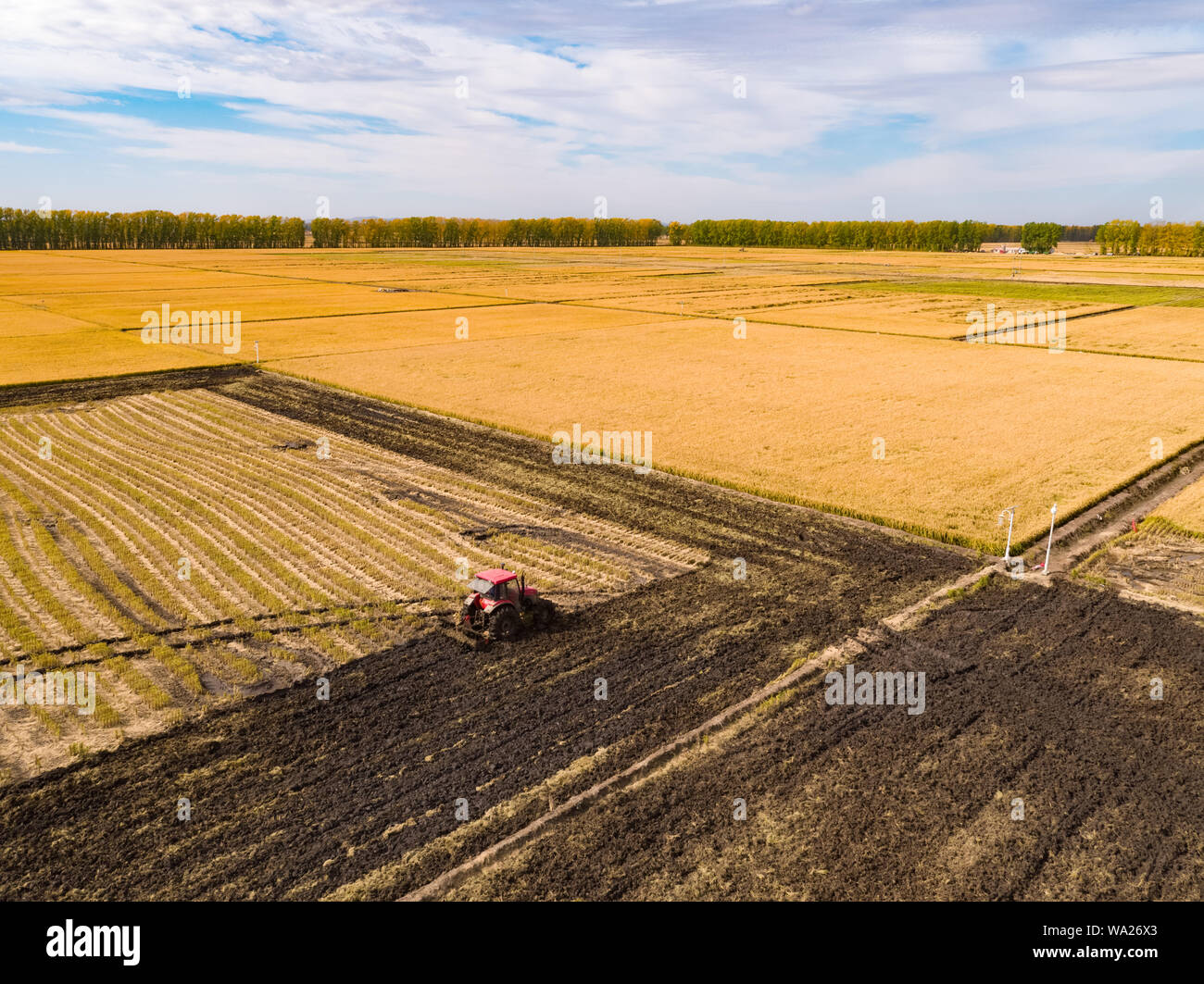 Ecological paddy rice fields hi-res stock photography and images - Alamy