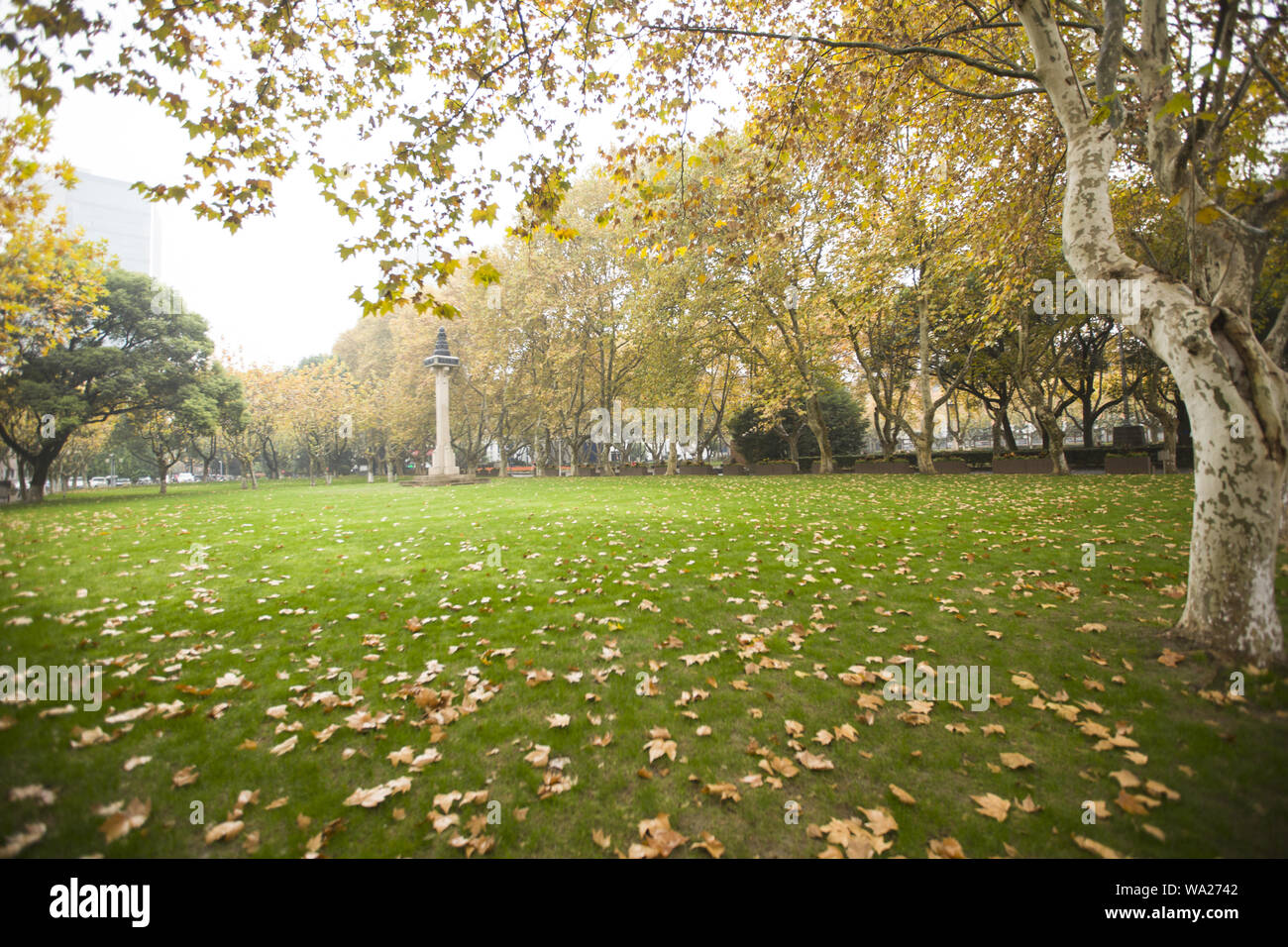 Shanghai tongji university Stock Photo - Alamy