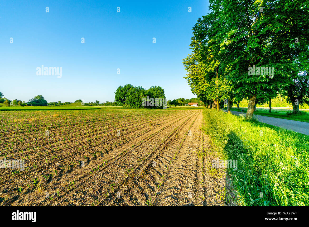 Garching bei munchen hi-res stock photography and images - Alamy