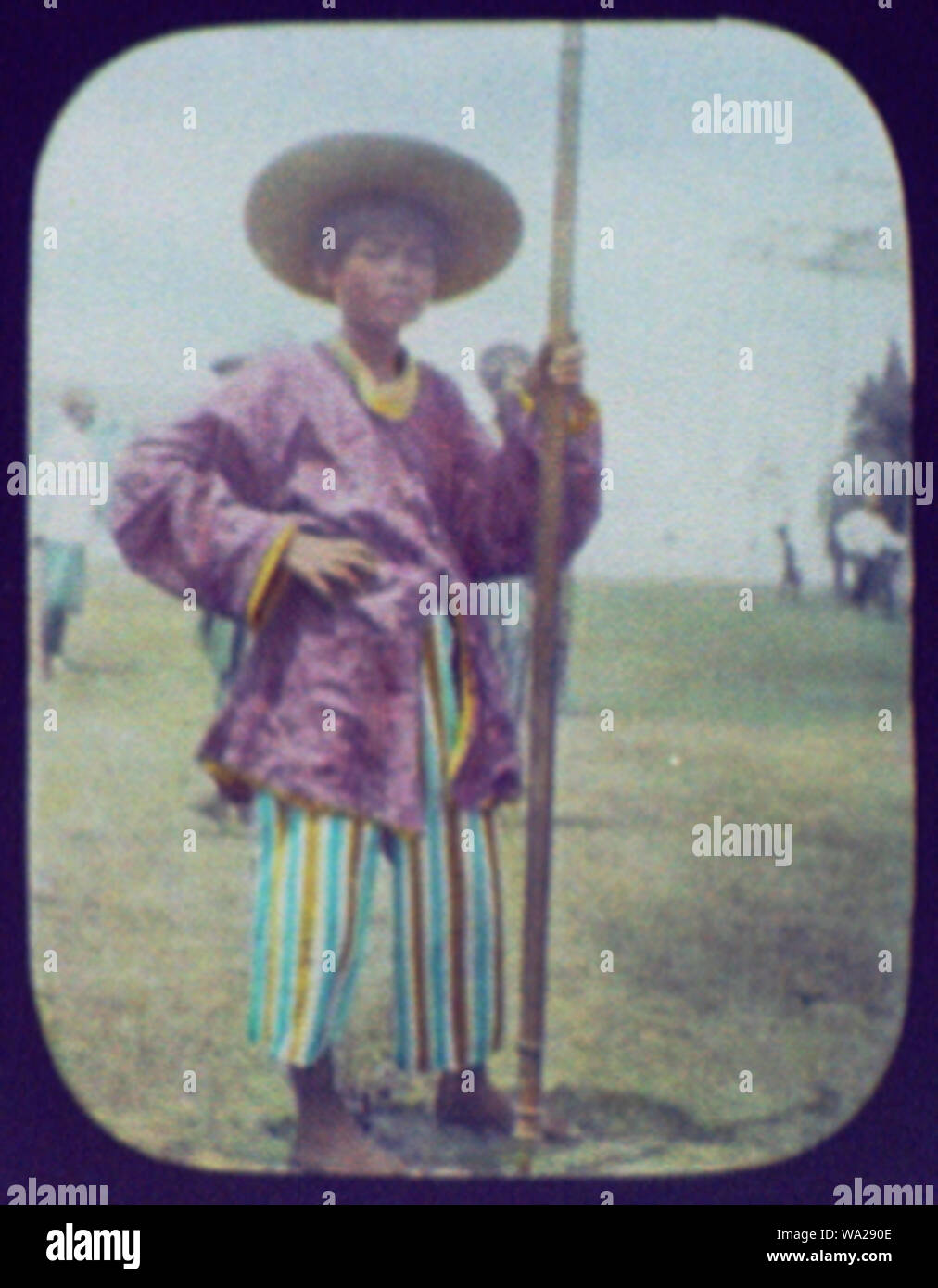 Bamboo Spear